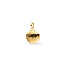 PURELEI Seashell Charm