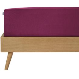 Spannbettlaken Schiesser "Elli", lila (beere), B:180cm L:200cm, Jersey-Elasthan, Obermaterial: 97% Baumwolle, 3% Elasthan, Bettlaken, Spannbettlaken, f&uuml;r hohe Matratzen und Boxspringbetten, MADE IN GREEN by OEKO-TEX