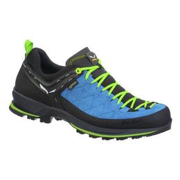 Salewa Mtn Trainer 2 GTX - Wander- und Trekkingschuh - Herren