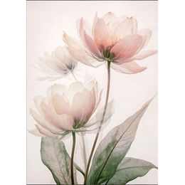 Pro Art Aludibondbild FLOWERS X