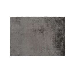 Webteppich Icy grau Synthetische Fasern Ma&szlig;e (cm): B: 160 Accessoires > Teppiche f&uuml;r das Wohnzimmer &raquo; Sofa DE