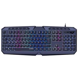 Speed-Link SPEEDLINK LUDICIUM RGB Rainbow Gaming Keyboard, black - DE Layout
