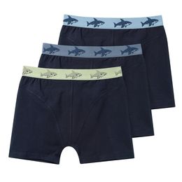 Topolino 3 Jungen Boxer mit Webbund