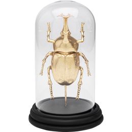 Dekoobjekt KARE DESIGN "Stag Beetle 20cm", gold, B:12,5cm H:20cm T:12,5cm, Polyresin, Dekofiguren