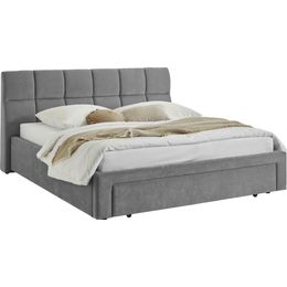 Meise M&ouml;bel Polsterbett MEISE.M&Ouml;BEL "Canyon, Breite 180cm, erh&auml;ltlich in grau oder beige", grau, g, B:209cm H:110cm L:228cm, Betten, Polsterbett, inkl. Schubkasten im Fu&szlig;teil - ideal als Hundebett nutzbar