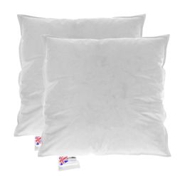 Homescapes F&Uuml;LLKISSEN 2er-Set &ndash; 80/80 cm, G&auml;nsefedern & Daunen