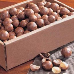 Macadamia-N&uuml;sse Nachf&uuml;llbox
