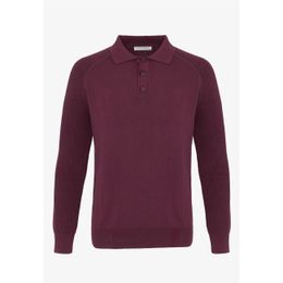 Pullover Pullover Mit Polo-Kragen
