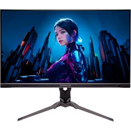 Acer Gaming-LED-Monitor "Predator XB273K V5", Energieeffizienz: F (A-G), schwarz, B:61,44cm H:36,7cm T:7,32cm, Monitore