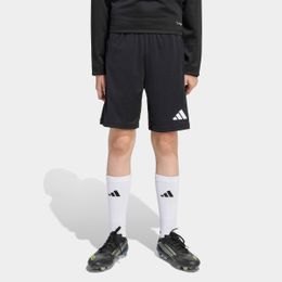 Trainingsshorts adidas Performance "ENTRADA 26 KIDS", Jungen, Gr. 128, N-Gr, schwarz (schwarz, wei&szlig;,), Obermaterial: 100% Polyester, Hosen