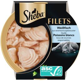 Filets Schale Wei&szlig;fisch in Sauce ASC 16x60 g