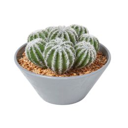 Homescapes KUNSTPFLANZEN Kakteen-Arrangement im Deko-Topf, 17 cm