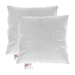Homescapes F&Uuml;LLKISSEN 2er-Set &ndash; 65/65 cm, G&auml;nsefedern & Daunen