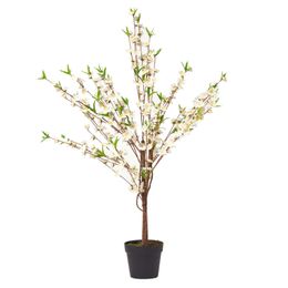 Homescapes KUNSTBAUM Bl&uuml;ten creme, 135 cm
