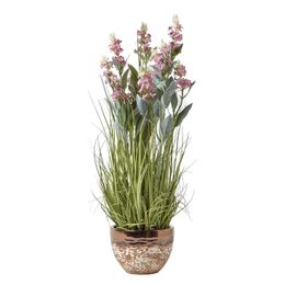 Homescapes KUNSTPFLANZE Lavendel rosa im Deko-Topf, 66 cm
