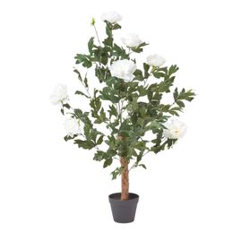 Homescapes KUNSTPFLANZE Baumpfingstrose creme, 100 cm