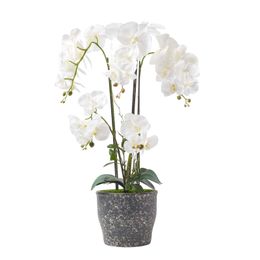 Homescapes KUNSTBLUME Orchidee wei&szlig; im Deko-Topf, 82 cm