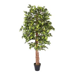 Homescapes KUNSTBAUM Ficus benjamini, 180 cm
