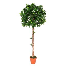 Homescapes KUNSTBAUM Ficus formgeschnitten, 125 cm