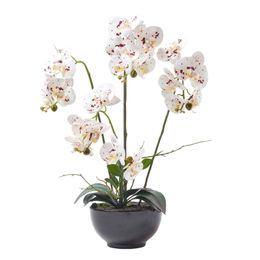 Homescapes KUNSTBLUME Orchidee wei&szlig;-pink in Deko-Schale, 62 cm