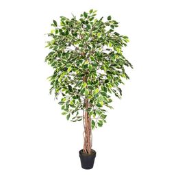 Homescapes KUNSTBAUM Ficus benjamini, 180 cm