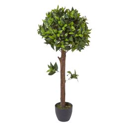 Homescapes KUNSTBAUM Lorbeer formgeschnitten, 91 cm