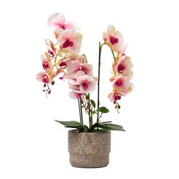 Homescapes KUNSTBLUME Orchidee pink-wei&szlig; im Deko-Topf, 64 cm