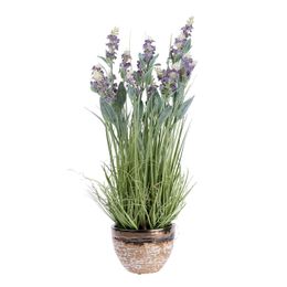 Homescapes KUNSTPFLANZE Lavendel lila im Deko-Topf, 66 cm
