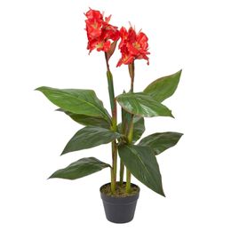 Homescapes KUNSTBLUME Blumenrohr rot, 90 cm