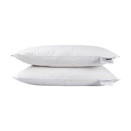 Homescapes KOPFKISSEN Seide 2er-Set, 48/74 cm