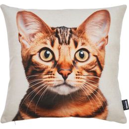 Dekokissen done. "KITTY", beige, bedruckt, B:45cm L:45cm, Polyester, Dekokissen_Sitzkissen_Kissenh&uuml;llen, Extra weiche Haptik