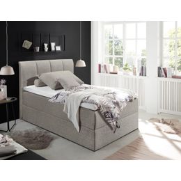Boxbett GRATIANA 2