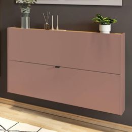 Pharao24.de Schuhschrank Schuh Klappschrank in Braun mit zwei Schuhklappen