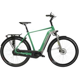 E-Bike KROSS "E-Citybike Sentio 6.0 28" gr&uuml;n - Shimano Mittelmotor" Gr. 56, gr&uuml;n (gr&uuml;n, grau), Elektrofahrr&auml;der, Damen, 56cm, 28 Zoll (71,12cm), SHIMANO 36 V/250 W E6100, Mittelmotor