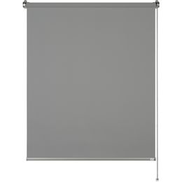 Sch&ouml;ner Wohnen Kollektion Seitenzugrollo "Tageslichtrollo Tizia", grau (anthrazit), B:45cm H:150cm, Polyester, SCH&Ouml;NER WOHNEN-KOLLEKTION, Rollos, Seitenzugrollo, geklebt, geklemmt, silberne oder wei&szlig;e Rollo-Technik