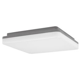 NOVA LUCE Au&szlig;en-Wandleuchte "TOMMY", grau (dunkel grau), 1 Stk., Leuchten