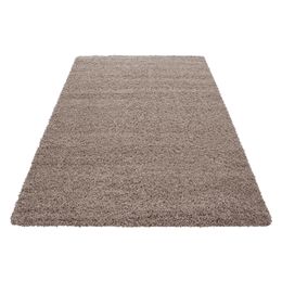 Ayyildiz Hochflorteppich Life Beige Braun/Beige ca. 240x340cm