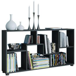 Regal Pintal Schwarz