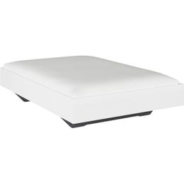 Futonbett Rauch "Phoenix", wei&szlig; (wei&szlig; hochglanz), B:145cm H:41cm L:206cm, Betten, Futonbett, ohne Kopfteil