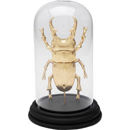 Dekoobjekt KARE DESIGN "Hercules Beetle 20cm", gold, B:12,5cm H:20cm T:12,5cm, Polyresin, Dekofiguren
