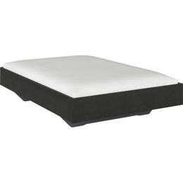 Futonbett Rauch "Phoenix", grau (grau hochglanz), B:145cm H:41cm L:206cm, Betten, Futonbett, ohne Kopfteil
