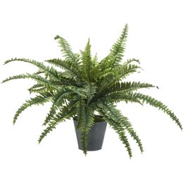 Kunstpflanze Creativ green "Bostonfarn", gr&uuml;n, H:80cm &Oslash;:100cm, Kunststoff, Kunstpflanzen, Kunstpflanze, mit zahlreichen Farnwedeln