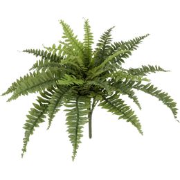 Kunstpflanze Creativ green "Bostonfarn ohne Topf", gr&uuml;n, H:50cm &Oslash;:60cm, Kunststoff, Kunstpflanzen, Kunstpflanze, mit zahlreichen Farnwedeln