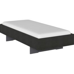 Futonbett Rauch "Phoenix", grau (grau hochglanz), B:95cm H:41cm L:206cm, Betten, Futonbett, ohne Kopfteil