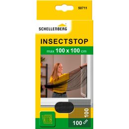 Fliegengitter-Gewebe Schellenberg "f&uuml;r Fenster ohne bohren", grau (rahmen: grau gewebe: grau), B:100cm H:100cm, Insektenschutzgitter, Insektenschutz inkl. Befestigungsband, 100 x 100 cm, wei&szlig;, anthrazit