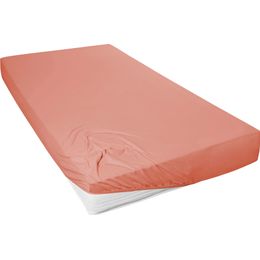 Spannbettlaken Primera "Mako-Feinjersey Spannbetttuch", rot (siena), L:200cm, Mako-Jersey, Obermaterial: 100% Baumwolle, Bettlaken, Spannbettlaken, Geeignet f&uuml;r Standardmatratzen bis 22 cm, 100% Baumwolle