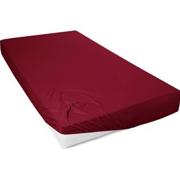 Spannbettlaken Primera "Mako-Feinjersey Spannbetttuch", rot (bordeaux), L:200cm, Mako-Jersey, Obermaterial: 100% Baumwolle, Bettlaken, Spannbettlaken, Geeignet f&uuml;r Standardmatratzen bis 22 cm, 100% Baumwolle