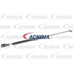 ACKOJA Gasfeder, Koffer-/Laderaum a320095 hinten links f&uuml;r MAZDA