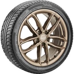 STAR PERFORMER - REIFEN Winterreifen 221031594 255/45 R19 104H