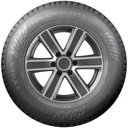 NOKIAN TYRES Winterreifen t432381 225/55 R17 109/107R